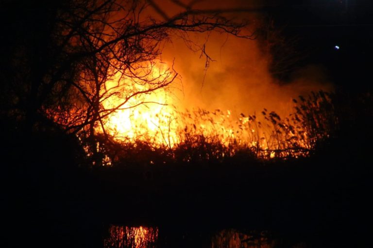 New Milford Fire Department